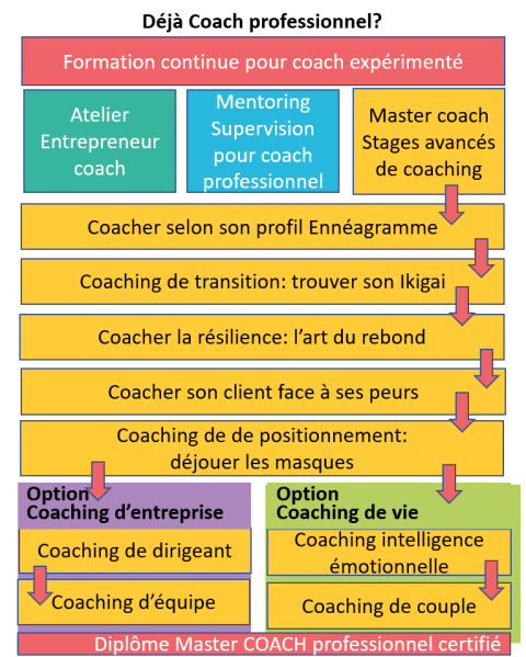 Le coaching professionnel à Genève – Elty Coaching Formation